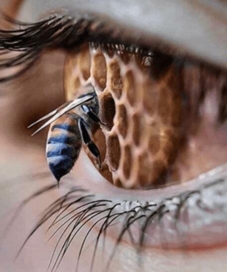 Socket Brain Pain - a poem by OceanDancer - All Poetry