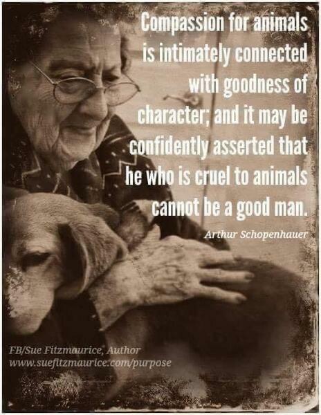 Goodness Poems - Modern Award-winning Goodness Poetry : All Poetry