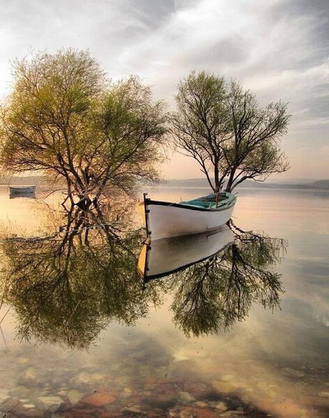 Perfect reflection found in nature - a poem by eric svenson - All Poetry