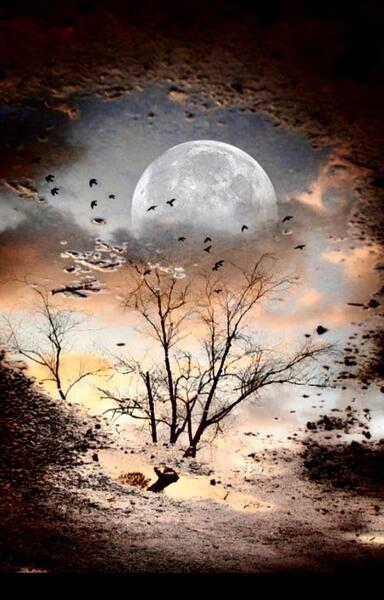 [Blinking - Timeless - This - Moment] - a poem by Oliviaa - All Poetry