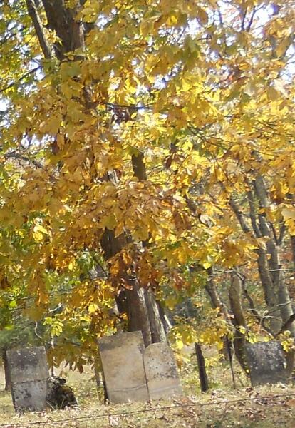 There Can't Be An Argument - a poem by Bluebird74 - All Poetry