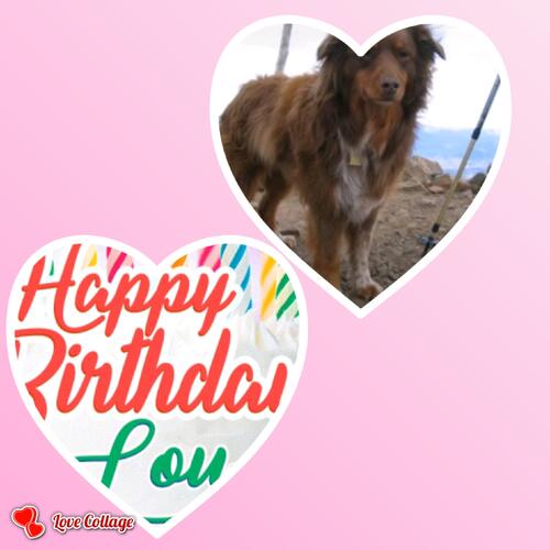 Happy Birthday Lou - a poem by SimplyMeMarisol - All Poetry