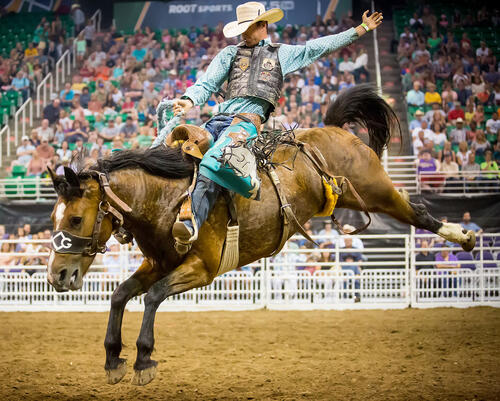 Rodeo rider Poems - Modern Award-winning Rodeo rider Poetry : All Poetry