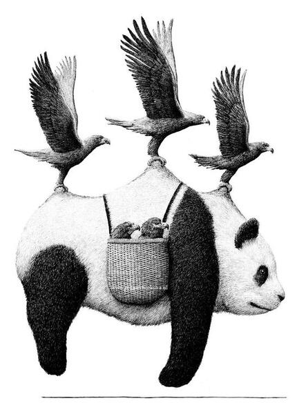 Panda Poems - Modern Award-winning Panda Poetry : All Poetry