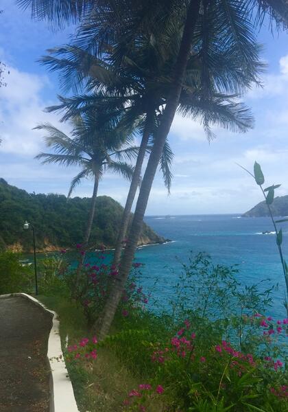 Trinidad Poems - Modern Award-winning Trinidad Poetry : All Poetry