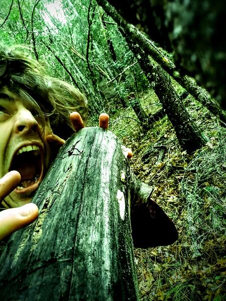 Detective Poems - Modern Award-winning Detective Poetry : All Poetry