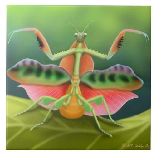 Praying mantis Poems - Modern Award-winning Praying mantis Poetry : All ...