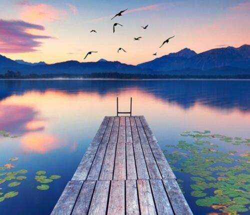 Loon Poems - Modern Award-winning Loon Poetry : All Poetry