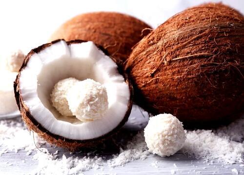 Coconut Poems - Modern Award-winning Coconut Poetry : All Poetry