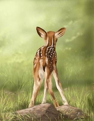 Fawn Poems - Modern Award-winning Fawn Poetry : All Poetry