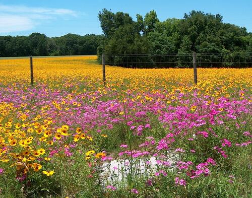 Stewardship Poems - Modern Award-winning Stewardship Poetry : All Poetry