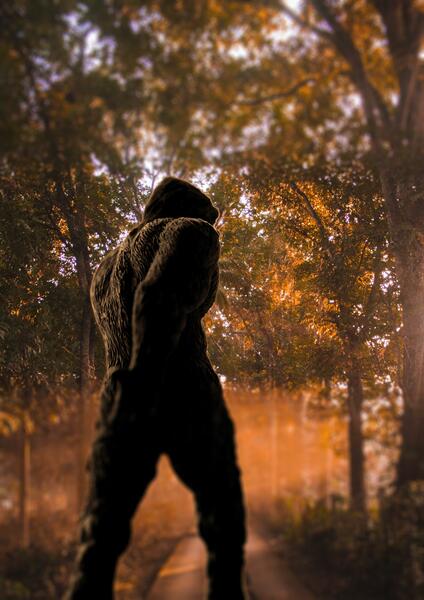 Bigfoot emerges - a poem by Jake Aller - All Poetry