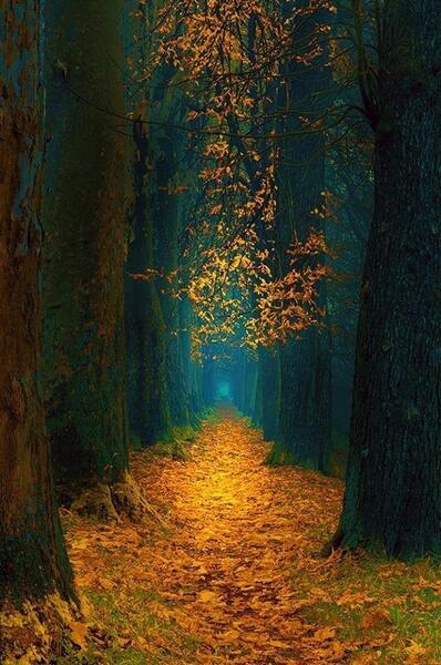 A pathway - a poem by Lotus Tassel - All Poetry