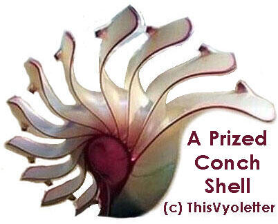 A Prized Conch Shell - a poem by Miss Veez - All Poetry