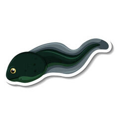 Tadpole Poems - Modern Award-winning Tadpole Poetry : All Poetry