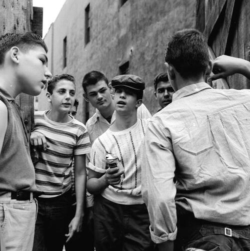 Gangs Poems - Modern Award-winning Gangs Poetry : All Poetry