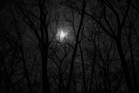 Rem State - a poem by Sandra Nelms-Ludwig - All Poetry