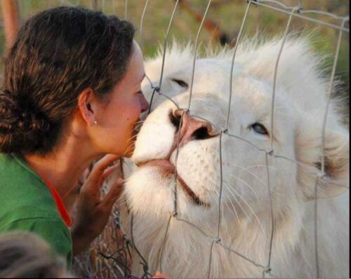 Underdog Poems - Modern Award-winning Underdog Poetry : All Poetry