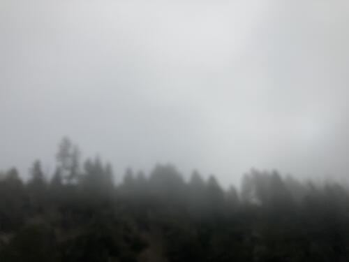 Detective Poems - Modern Award-winning Detective Poetry : All Poetry