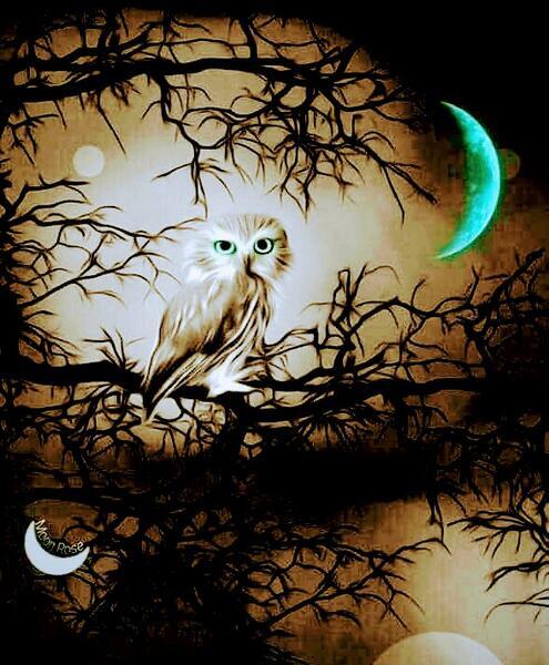 Turquoise Poems - Modern Award-winning Turquoise Poetry : All Poetry