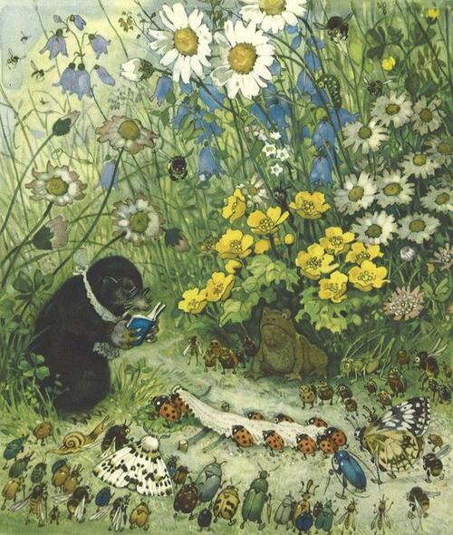 Beetles Poems - Modern Award-winning Beetles Poetry : All Poetry