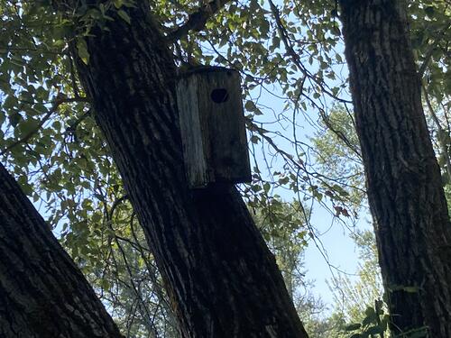 Detective Poems - Modern Award-winning Detective Poetry : All Poetry