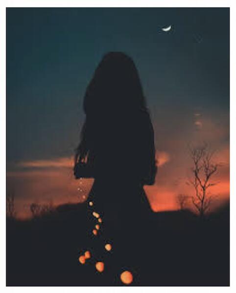 Sunset Silhouette - a poem by Richard Levy - All Poetry