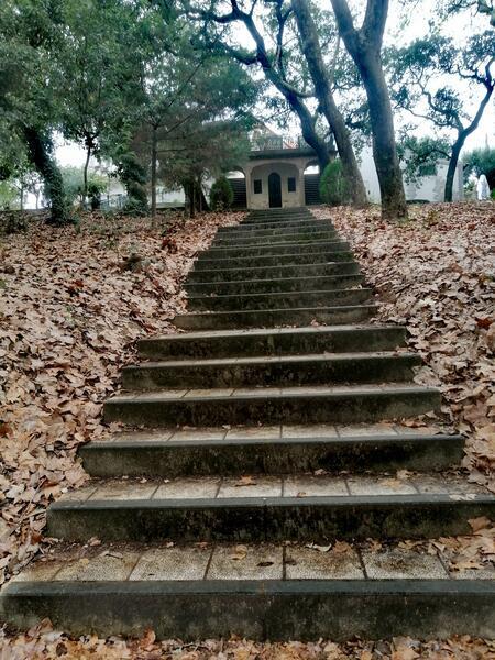 Mailman Poems - Modern Award-winning Mailman Poetry : All Poetry