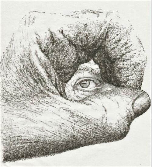 Discrimination Poems - Modern Award-winning Discrimination Poetry : All ...