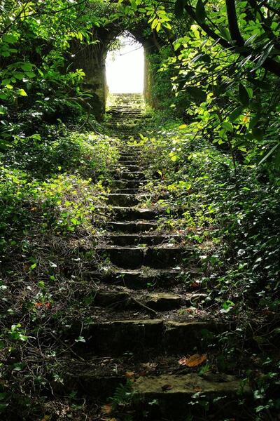 Portal Poems - Modern Award-winning Portal Poetry : All Poetry