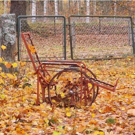 Rustic Rhyme - a poem by Keith Pailthorp - All Poetry