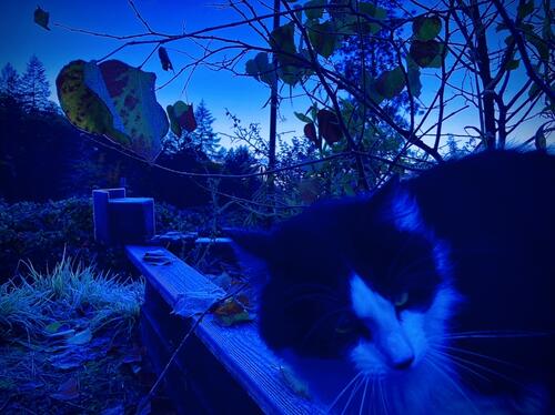 Somber Samuel In The Black Blizzard Of 1966 - a poem by Vibrant ...