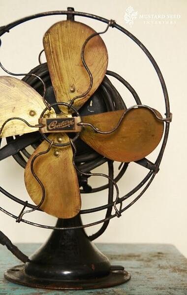 The Fan - a poem by R. Byron Chambers - All Poetry