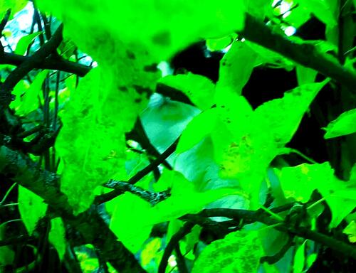 Cannibal Poems - Modern Award-winning Cannibal Poetry : All Poetry