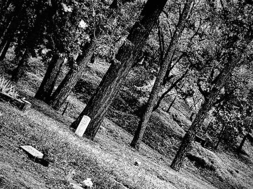 Detective Poems - Modern Award-winning Detective Poetry : All Poetry