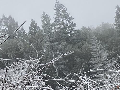 Surrealist Images Of Lively Lady Wilde - a poem by Vibrant Oddities ...