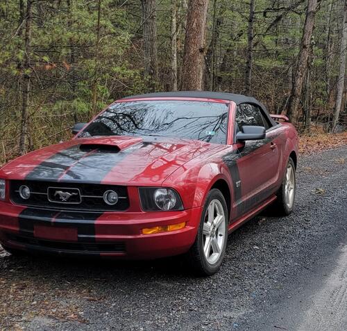 Mustang Poems - Modern Award-winning Mustang Poetry : All Poetry