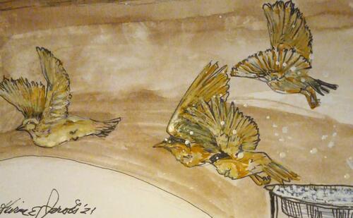 His Eye is on the Sparrow - a poem by Write of passage - All Poetry