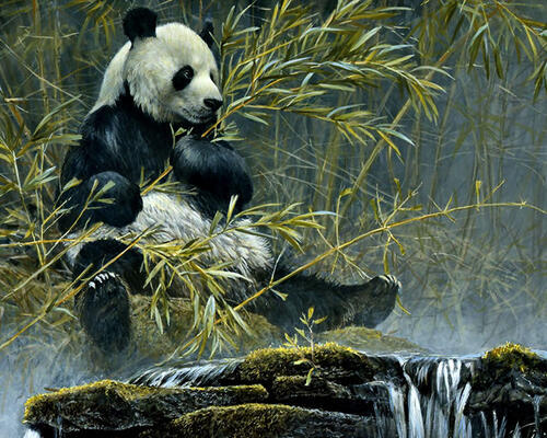 Panda Poems - Modern Award-winning Panda Poetry : All Poetry