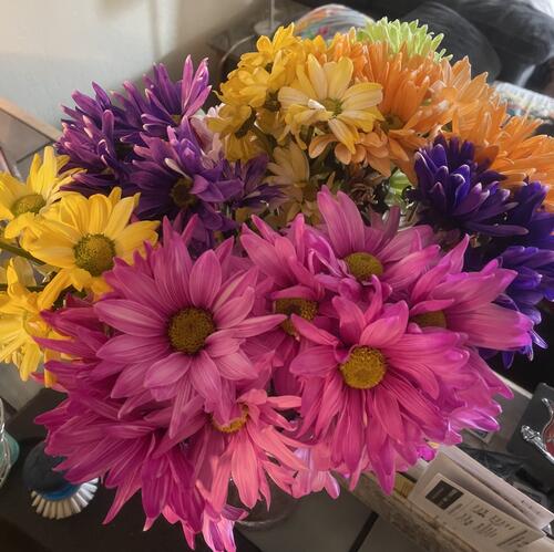 Crazy Daisies with Love #252 - a poem by Painful Poet 29 - All Poetry