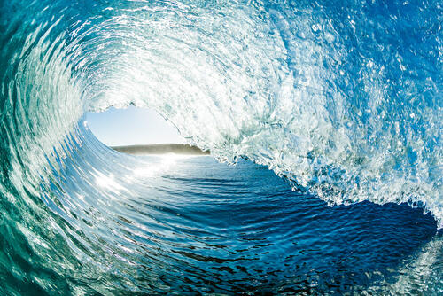 Trinidad Poems - Modern Award-winning Trinidad Poetry : All Poetry