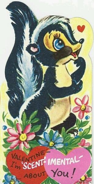 Skunk Poems - Modern Award-winning Skunk Poetry : All Poetry