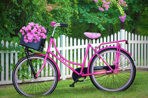 Bike Poems - Modern Award-winning Bike Poetry : All Poetry