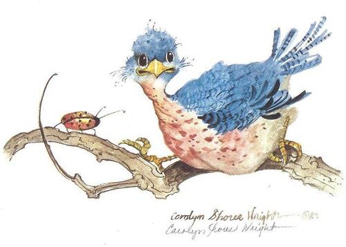 Lady bug Poems - Modern Award-winning Lady bug Poetry : All Poetry