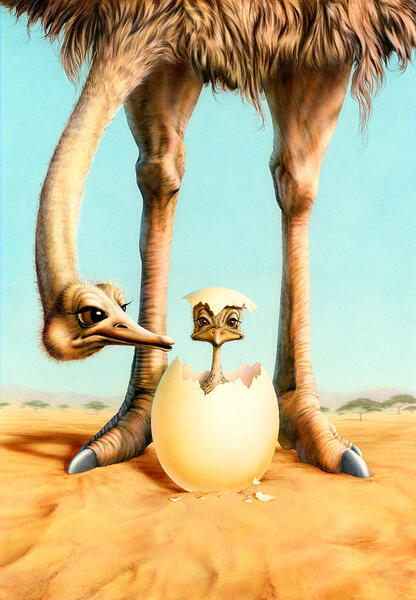 Ostrich Poems - Modern Award-winning Ostrich Poetry : All Poetry