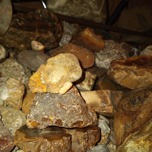 Be rev Itty bitty short discreet titecall stal ag haggatha Stew art y I ...