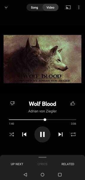 Celtic Wolf Dance - a poem by Dragon Realm - All Poetry