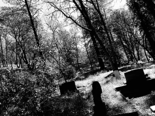 Cannibal Poems - Modern Award-winning Cannibal Poetry : All Poetry