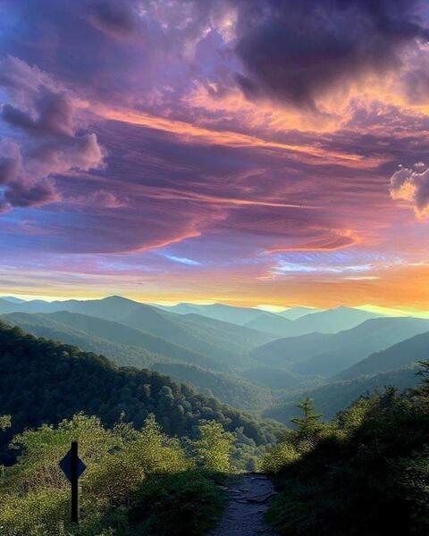 An Eyeful of Color - a poem by Francine 1 - All Poetry