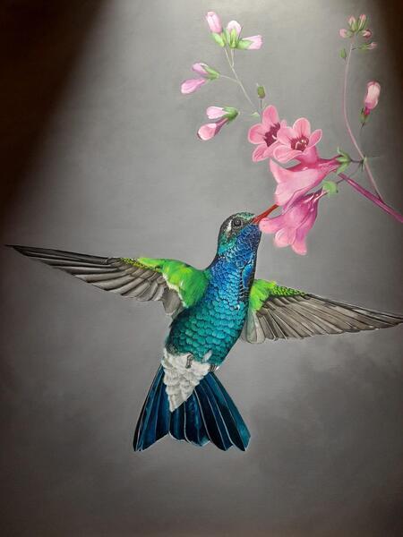 Hummingbird - a poem by R. Byron Chambers - All Poetry
